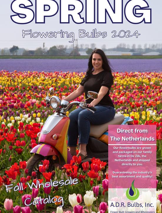 Request a copy of our spring or summer wholesale catalog