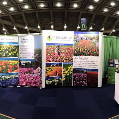 Buy Flower Bulbs Online Wholesale from A.D.R. Bulbs, Inc